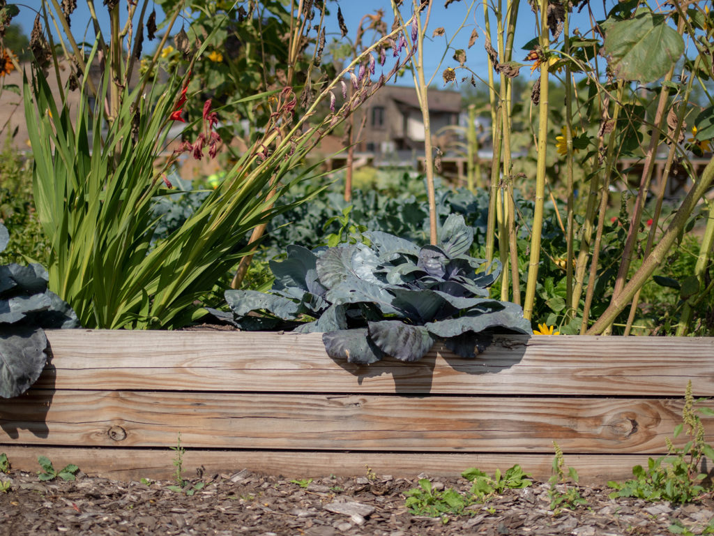 Support the Micromobility Hub