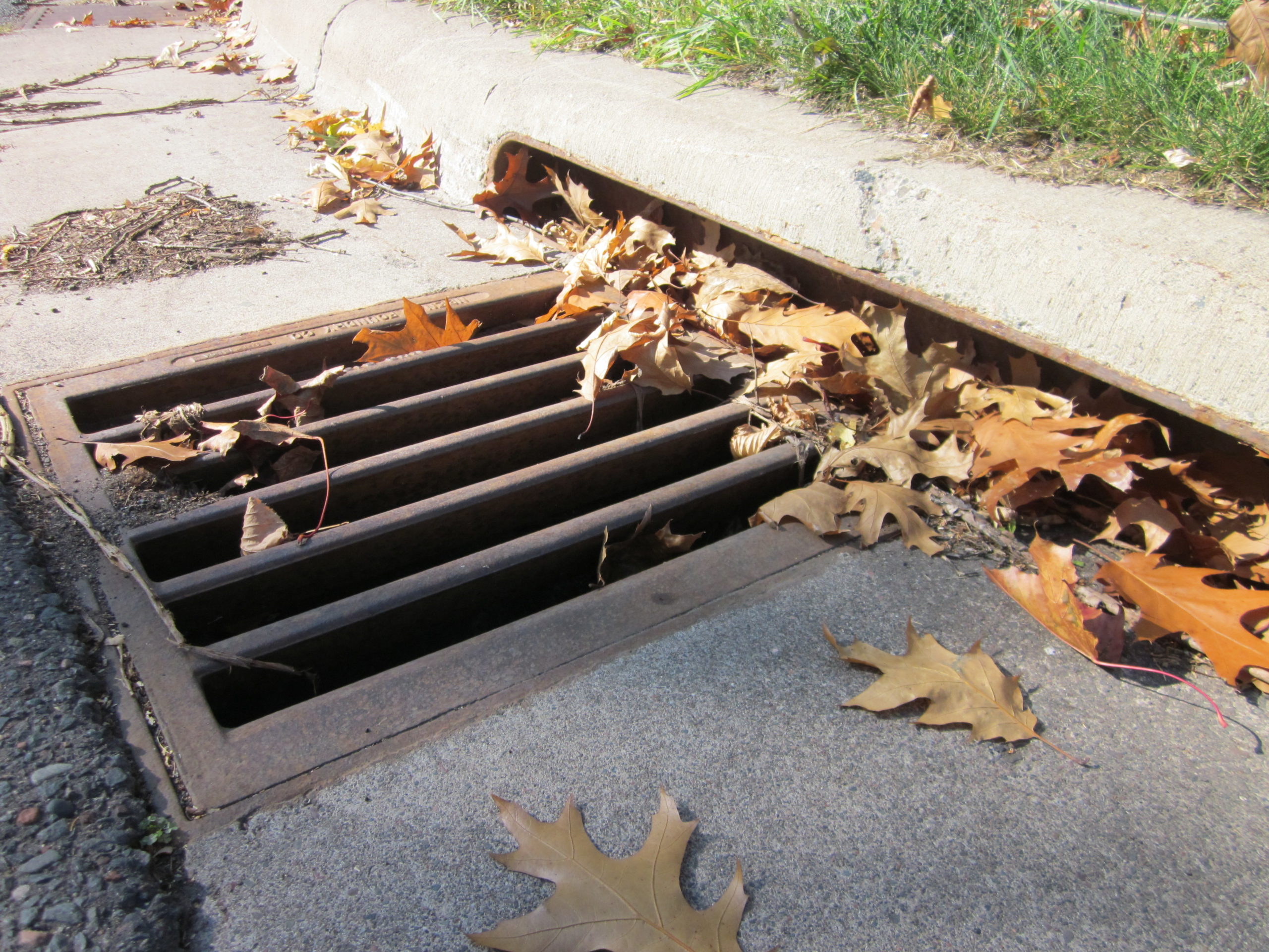 Monitor Your Storm Drain