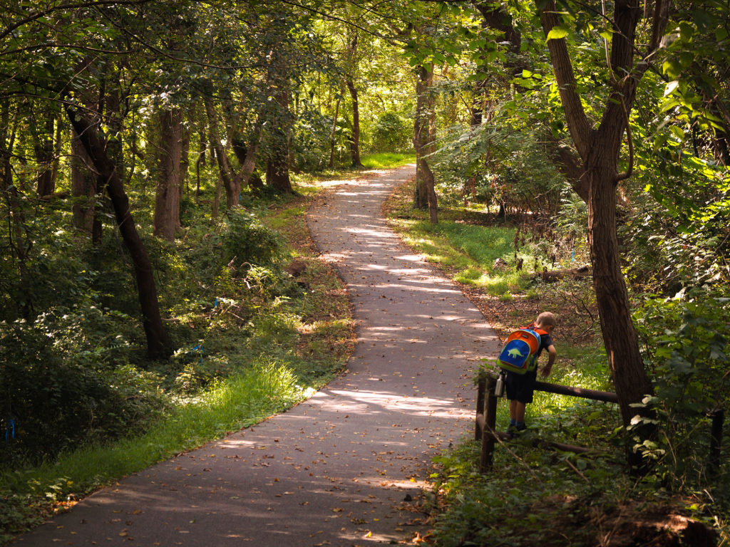 St. Louis River Corridor Trails Plan