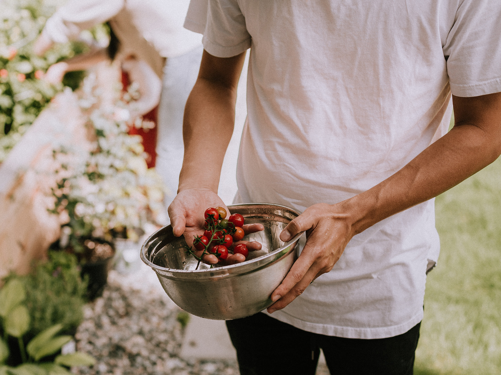 Minnesota Food Charter