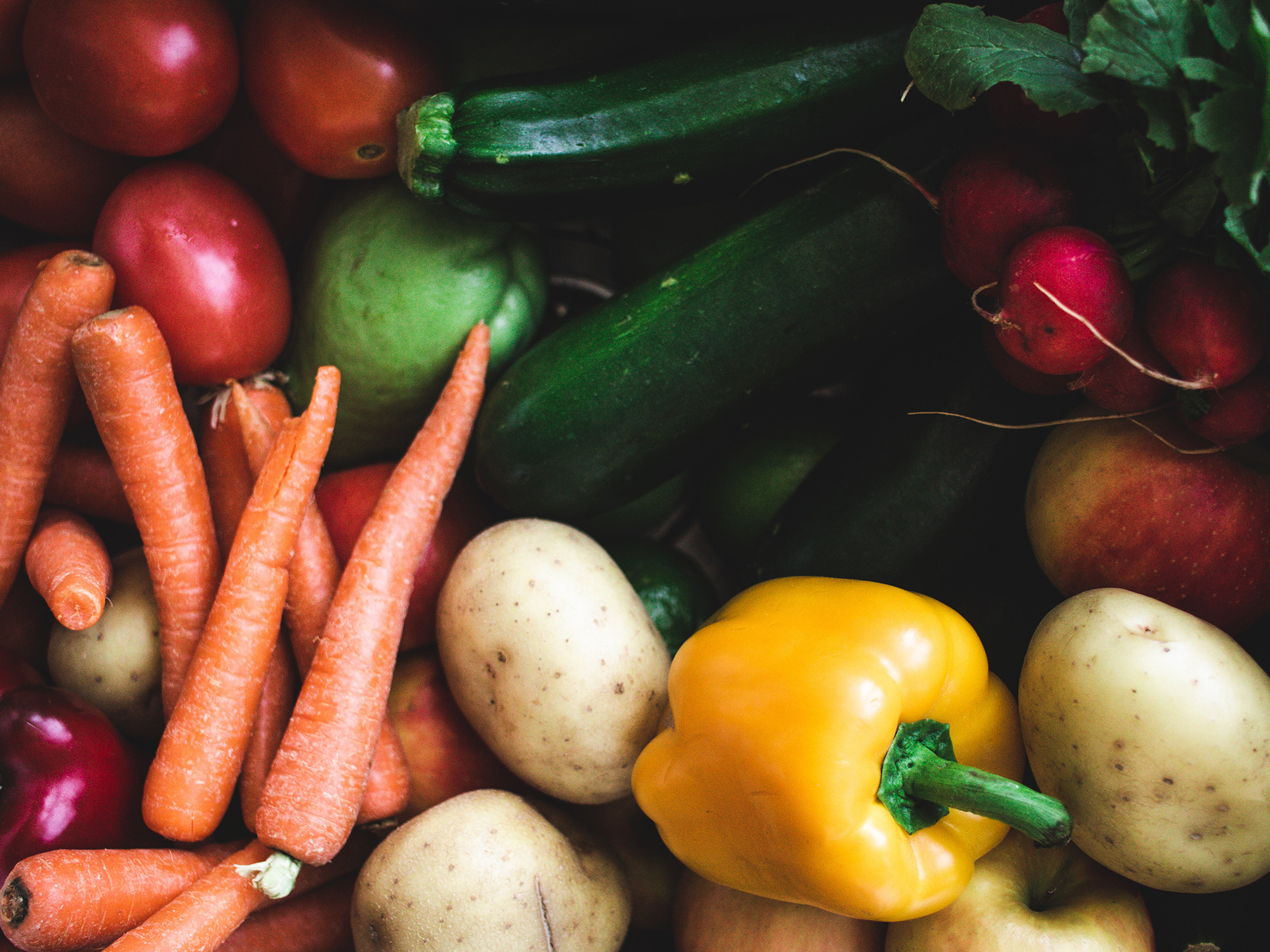 Good Food Movement Report