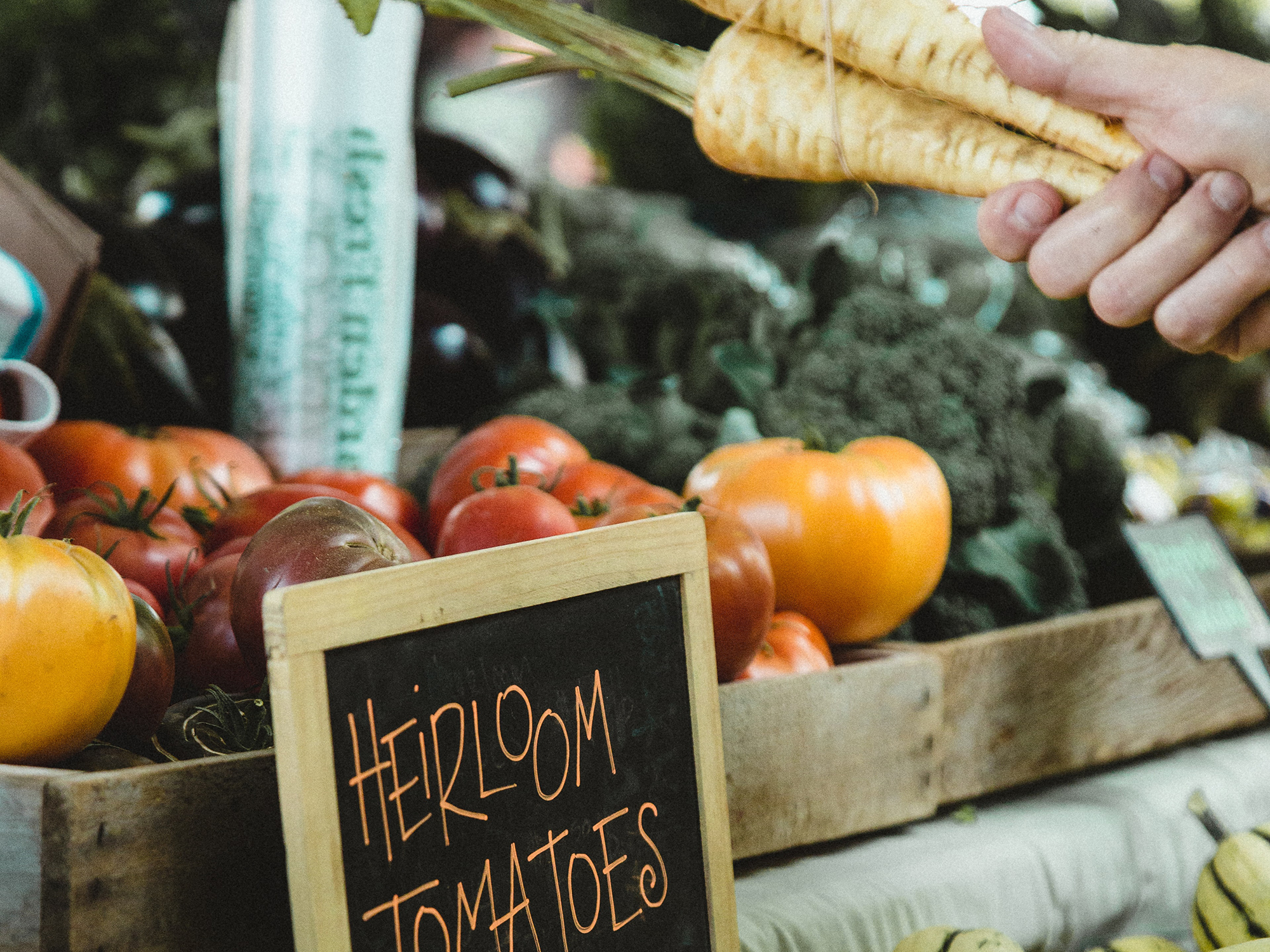 Local Food Action Plan for Lincoln Park
