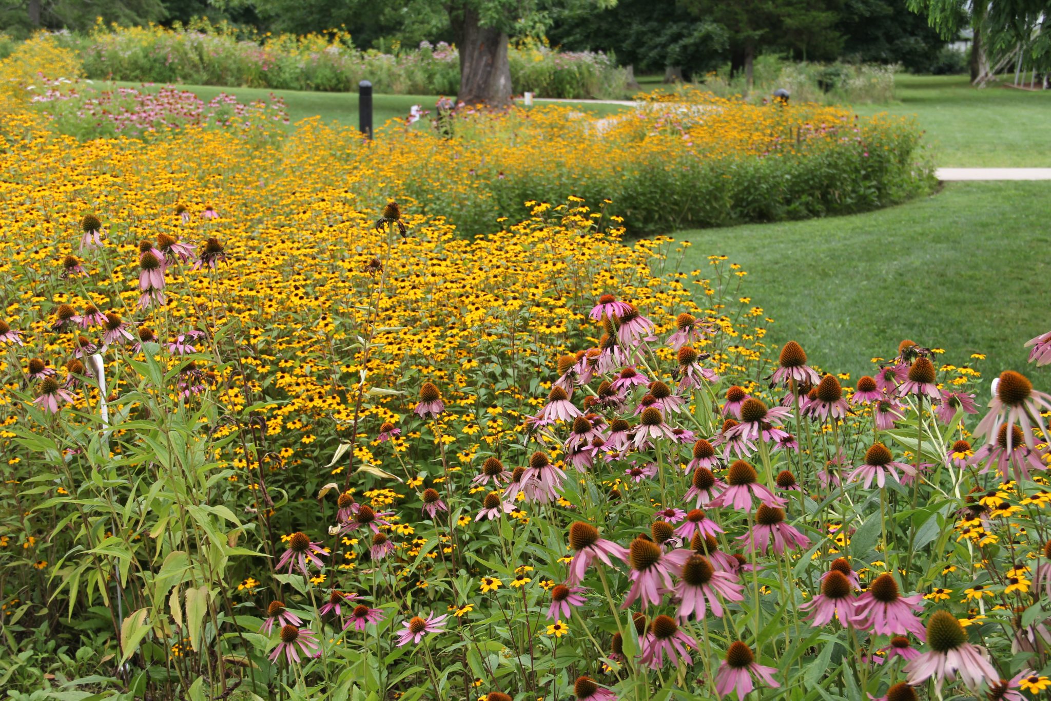Duluth Green Infrastructure
