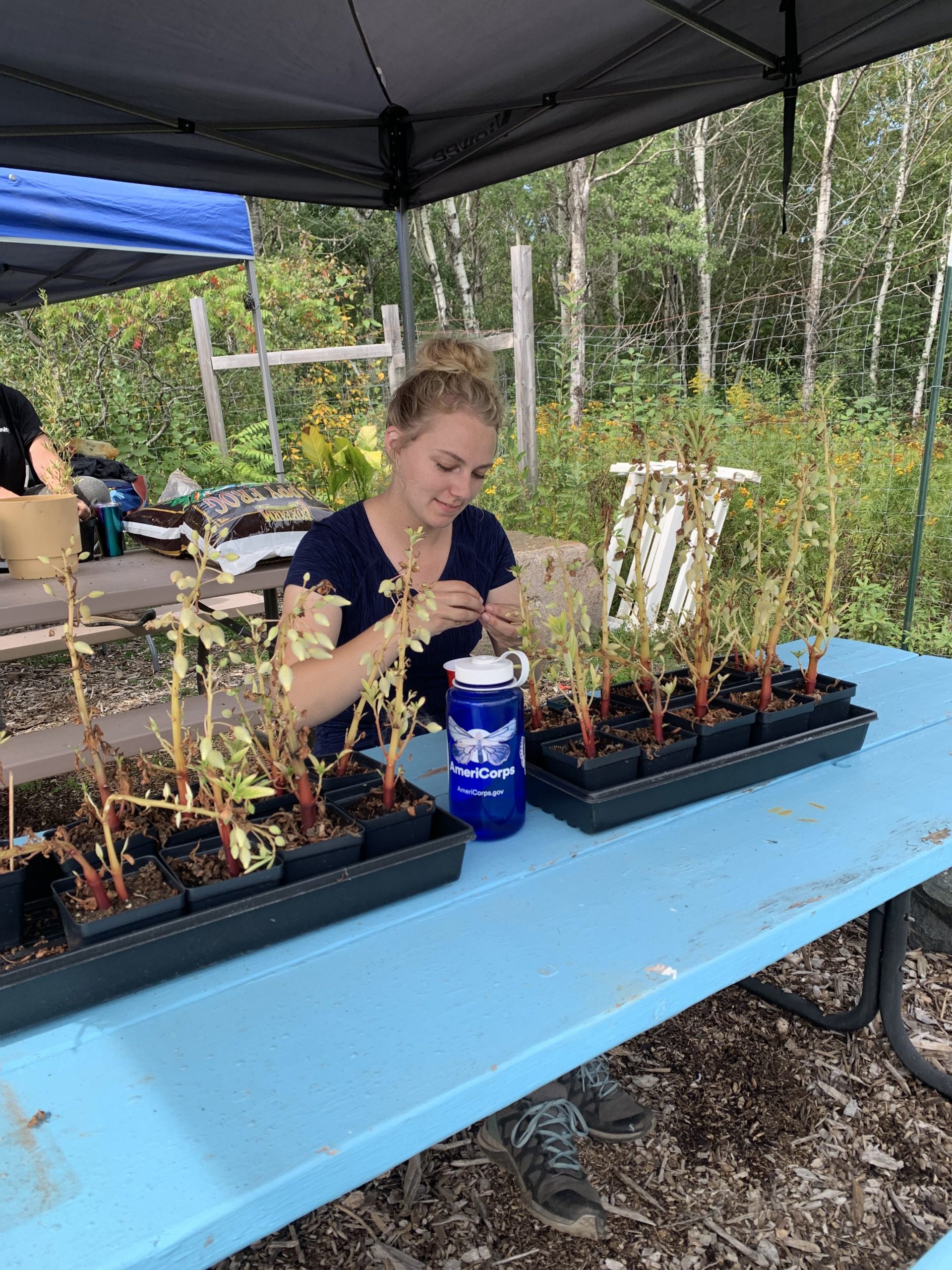 Eco3 Weekend Farm Internships