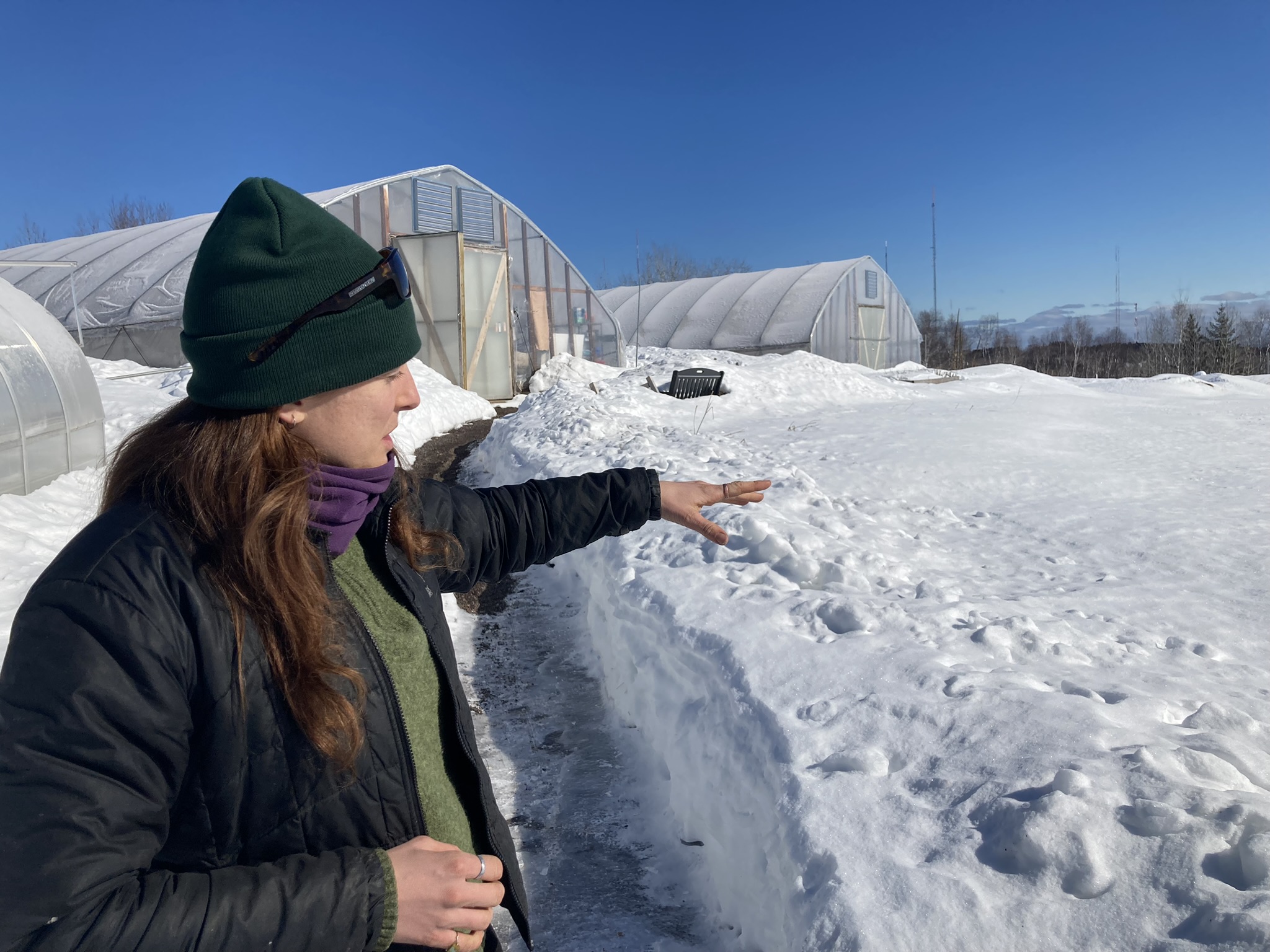 Saturdays at the Eco3 Urban Farm