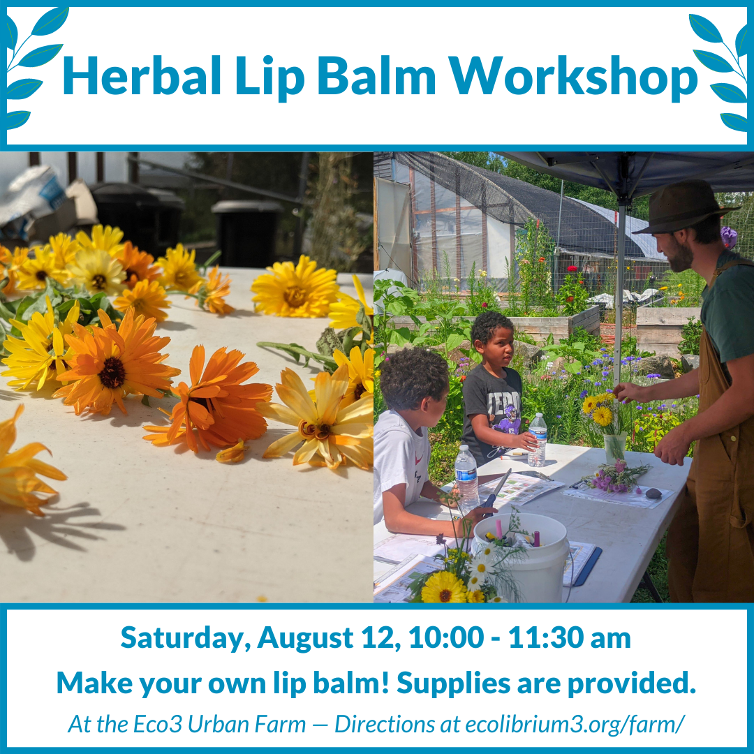 Before and After: Teamwork Transforms the Farm